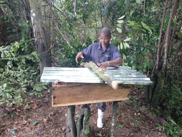 Turning Trees into Treasures: How Women and Communities Are Reviving ...