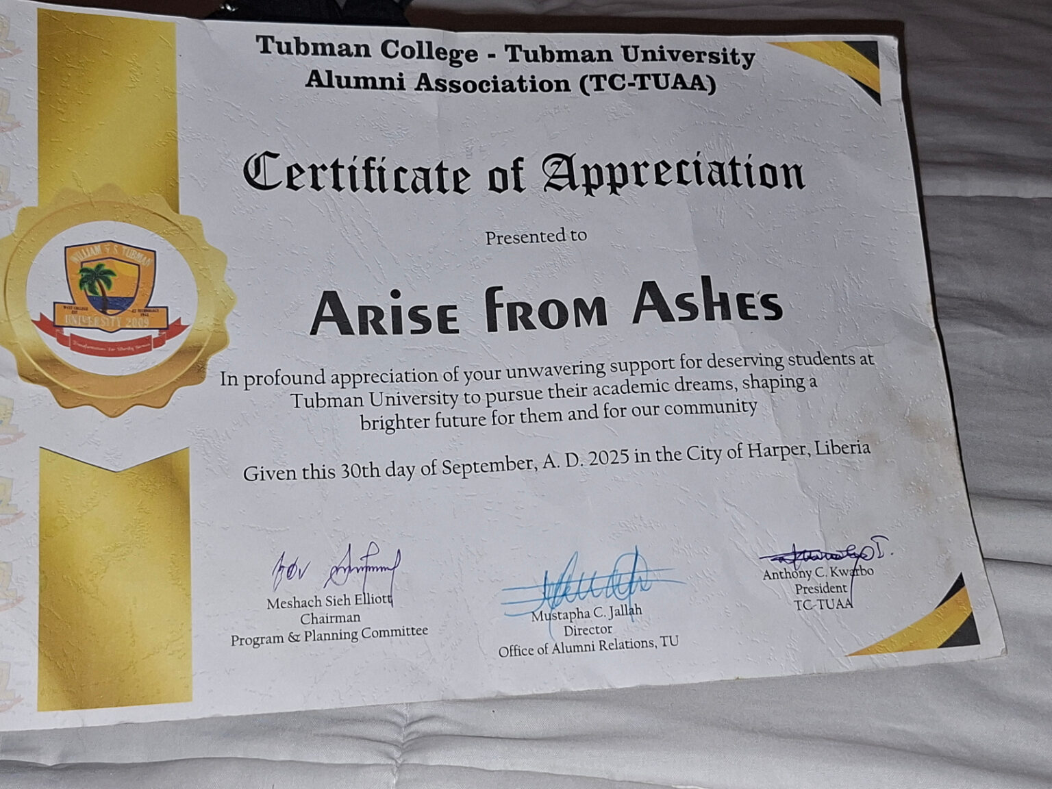 Arise From Ashes: Diaspora-Led NGO Ignites Hope and Opportunity Across ...